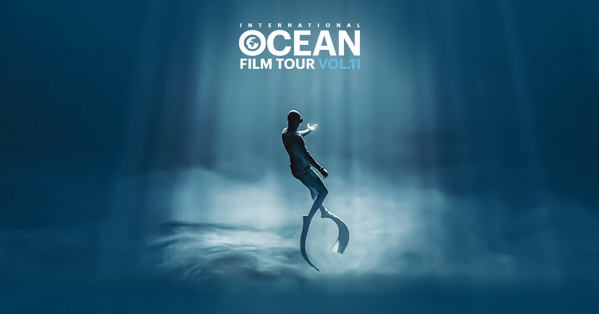 Über | International Ocean Film Tour